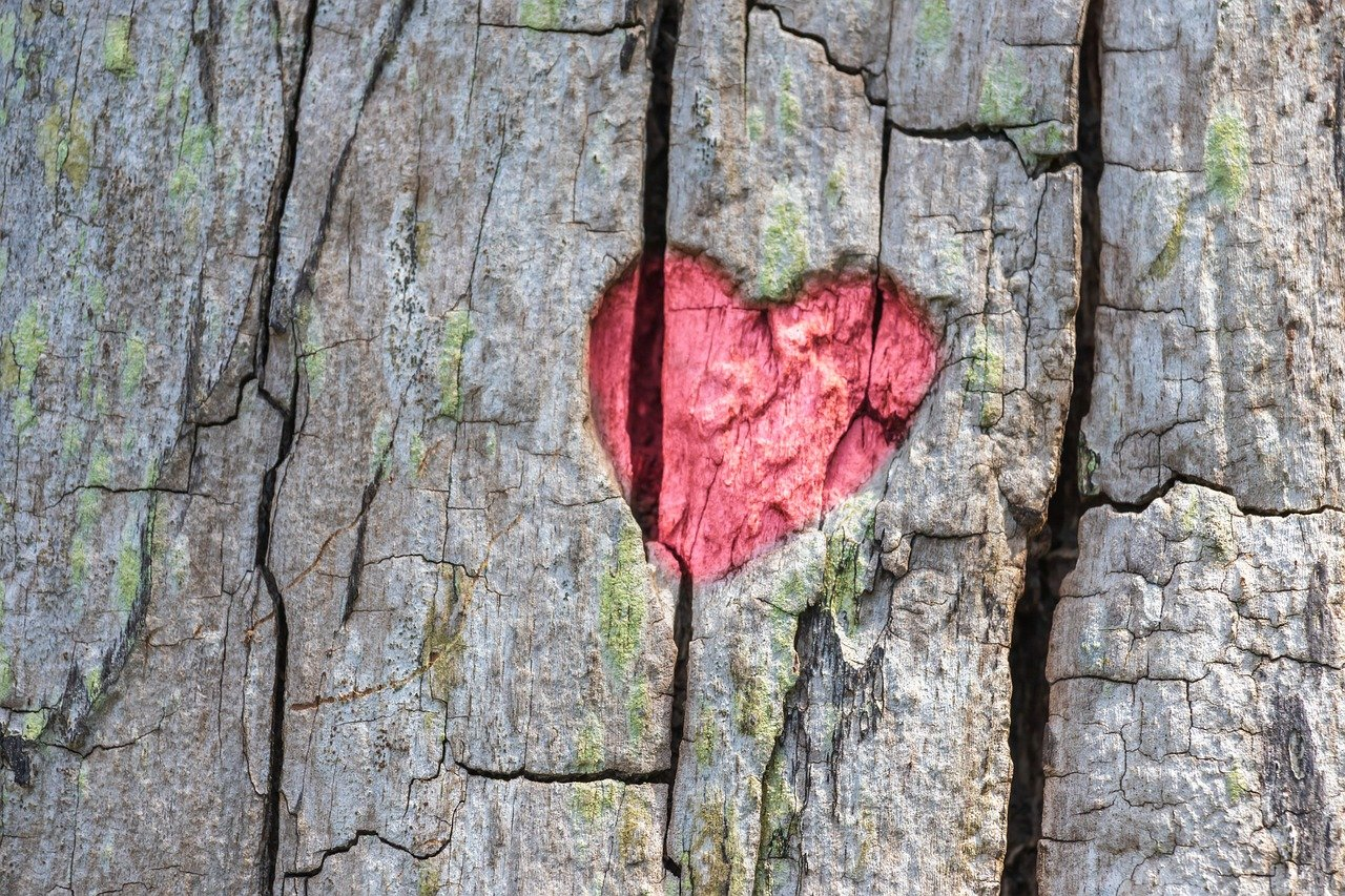 Teaching with Heart: Why Kindness & Compassion Matter in World Languag ...